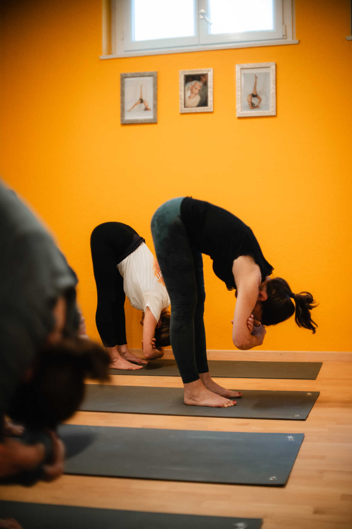Kurse bei Yoga Bern